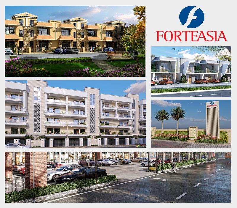 About Us | Forteasia